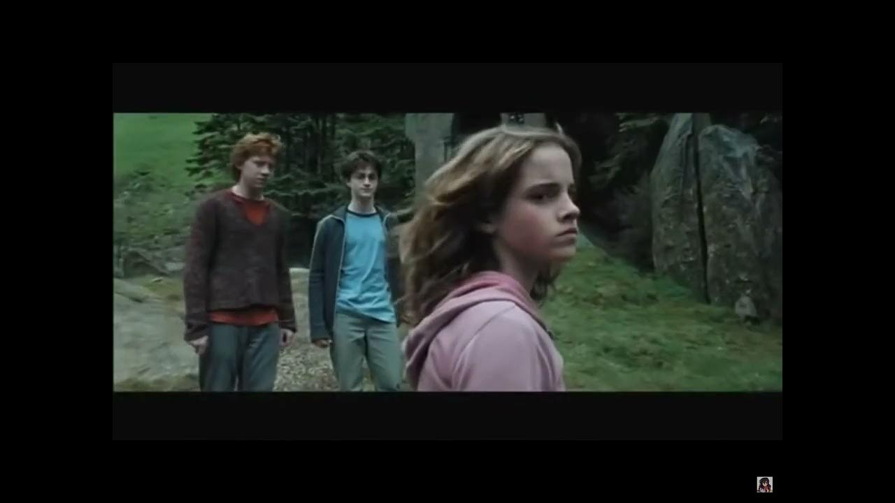 Hermione Slayingpunching Draco Youtube