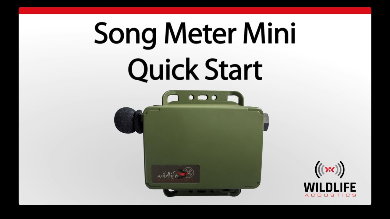 Song Meter Mini - Quick Start Guide | Identify and Analyze Animal ...
