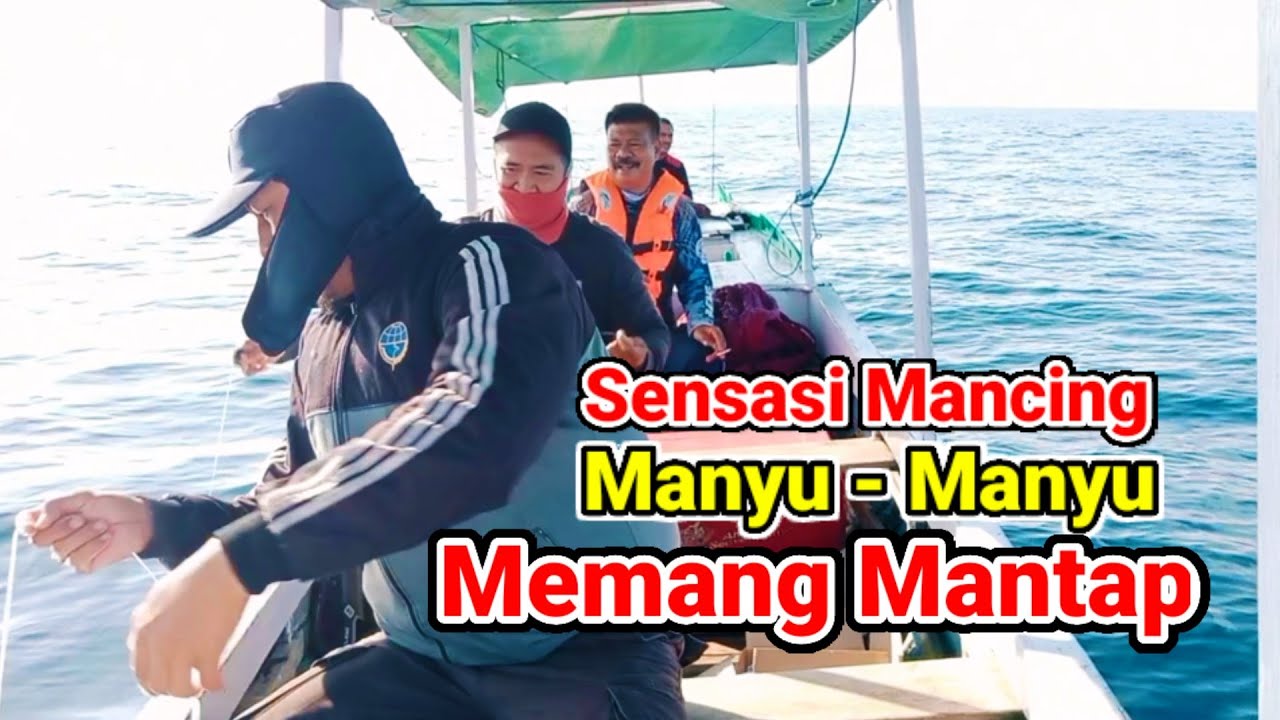 Sensasi Mancing Manyu-Manyu Memang Mantap - YouTube
