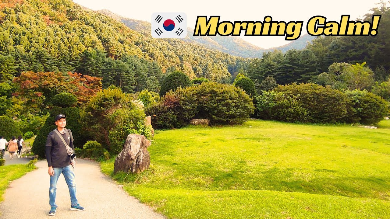 MOST BEAUTIFUL Garden in KOREA? Walking Tour of the Garden of Morning ...