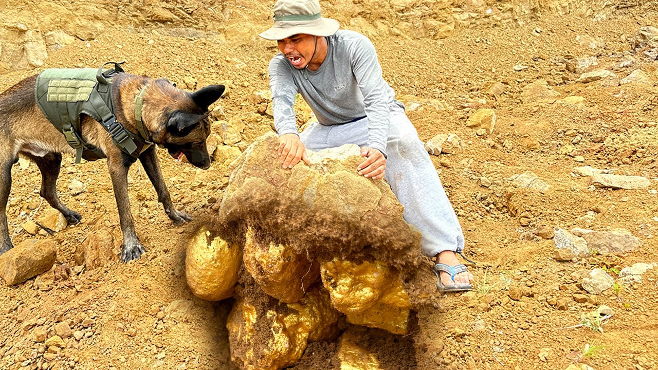 Lucky Man Found Huge Nuggets of Gold Treasure Under Stone , Discovered ...