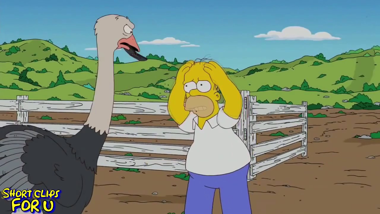 The Simpsons - Homer Vs Ostrich - YouTube