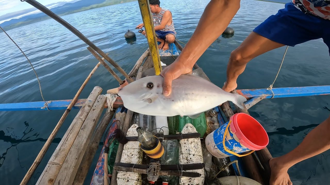 Ep.17.siwarik(unicorn filefish) fishing - YouTube