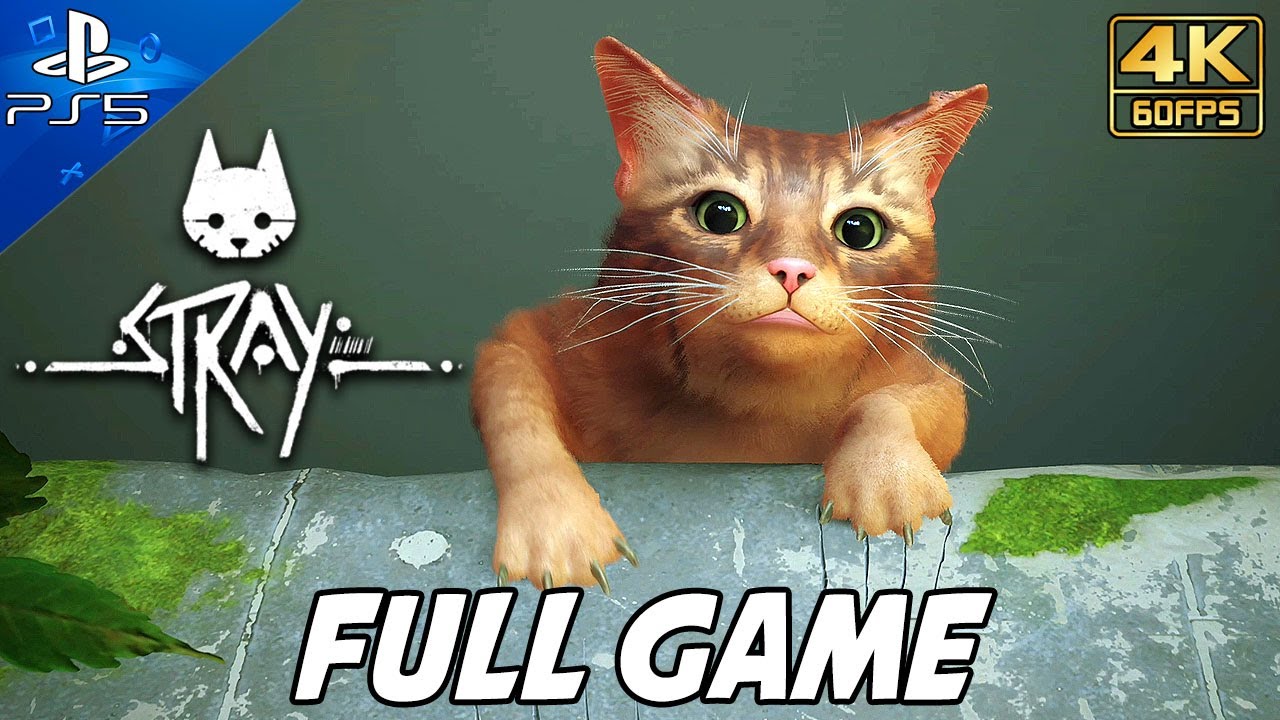 STRAY FULL GAME Walkthrough (PS5) No Commentary Gameplay @ 4K 60ᶠᵖˢ ...