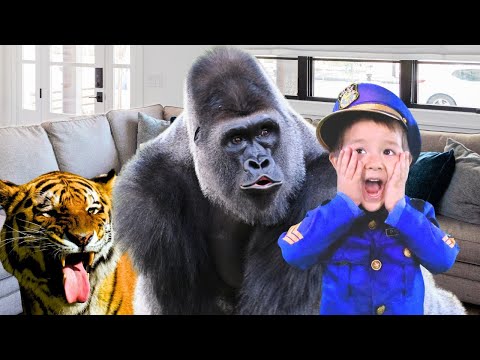 Baby Policeman Catches Wild Animals in the House and Godzilla, King Kong and Dragon at the Park