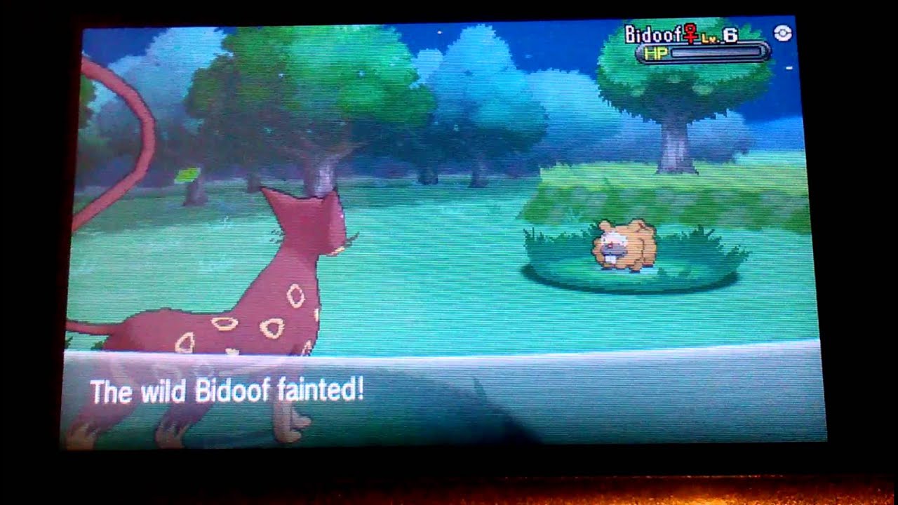 Shiny Liepard on Pokemon Y! - YouTube