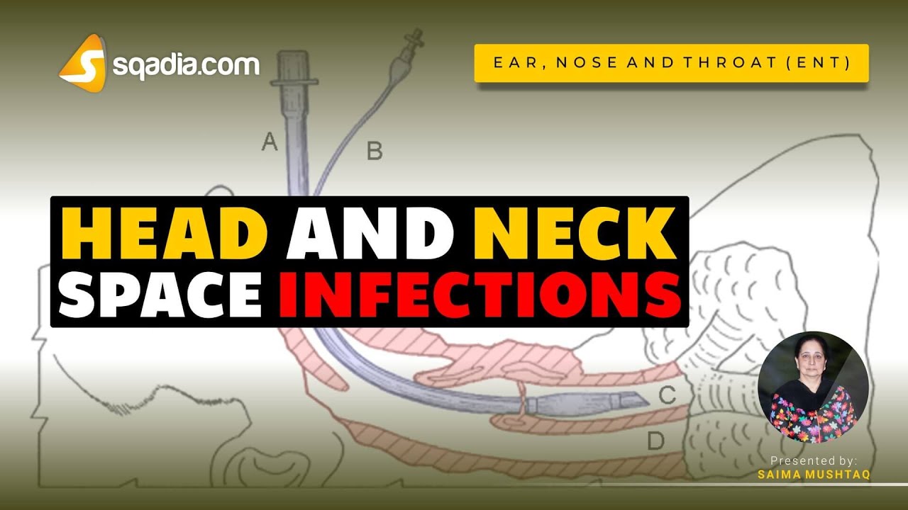 Head and Neck Space Infections | Introduction - YouTube