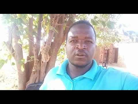 Mpho Ramulifho-Dimbanyika ubva dzwerani mirezheni ndi ubva dzwerani ...