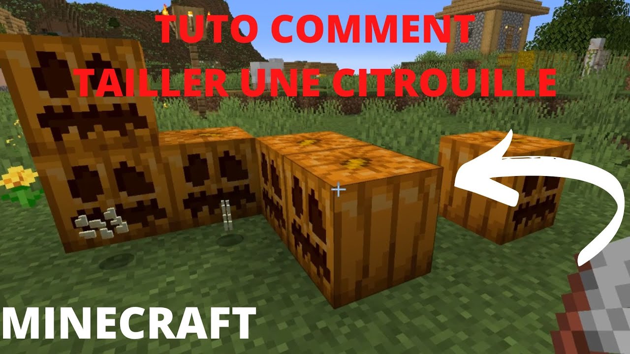 TUTO COMMENT FAIRE POUR TAILLER UNE CITROUILLE SUR MINECRAFT (tuto ...