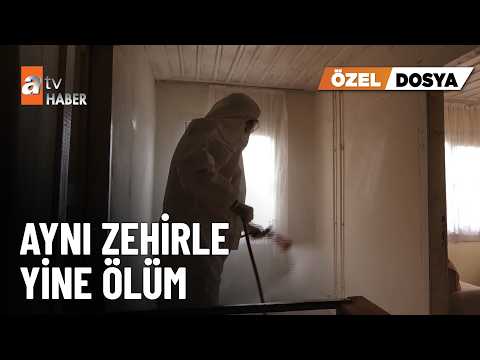ÖZEL DOSYA – Komşu evdeki ilaçlama canından etti - atv Ana Haber 7 Ağustos 2026
