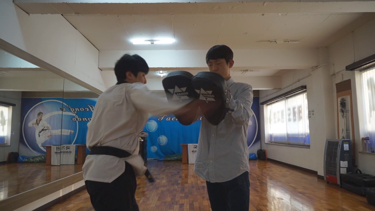 Hand techniques of TKD for actual fighting (KTA,Anibig) - Sonnaldeung ...