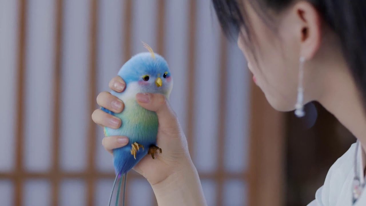 EP28 Dance of The Phoenix 且听凤鸣 - Sad Colorful Phoenix Is Going To Be ...