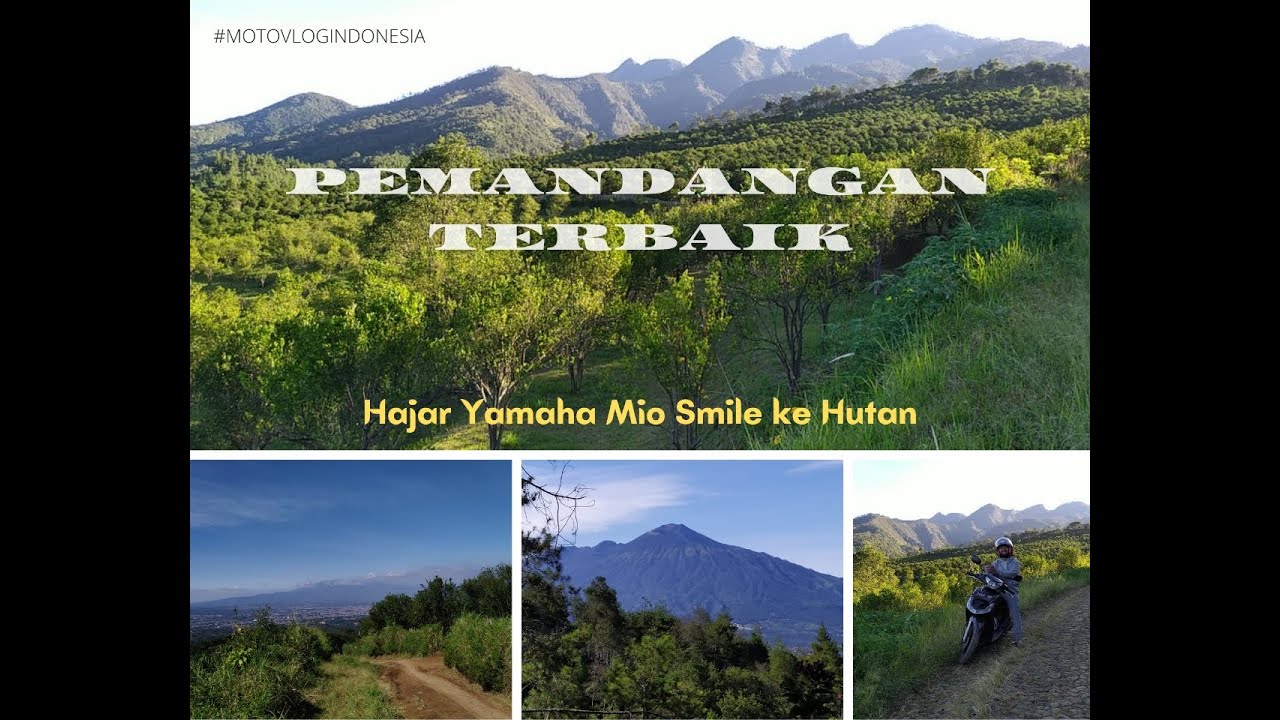 TRABAS HUTAN ,HAJAR YAMAHA MIO STANDART #motovlog #yamahamio #Malang ...