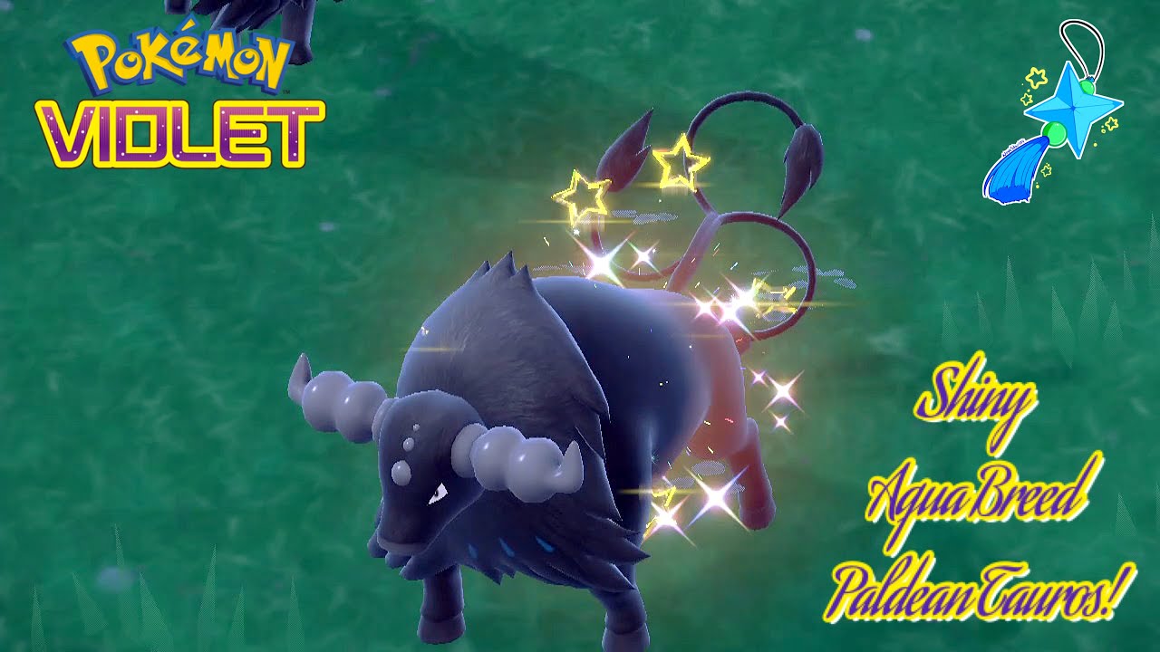 Pokémon Violet: SHINY LURE BALL MARKED AQUA BREED PALDEAN TAUROS! - YouTube