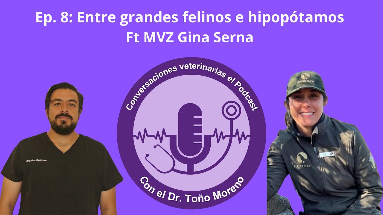 Episodio 8: Entre grandes felinos e hipopótamos con MVZ Gina Serna ...