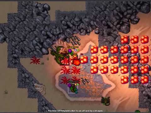 Tibia Dragon Hunt! - YouTube
