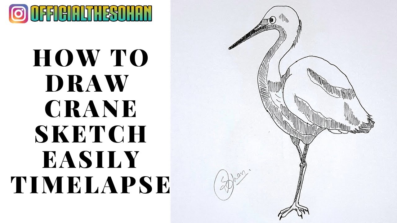 How to draw Crane Sketch step by step Timelapse || Pencil sketch ...