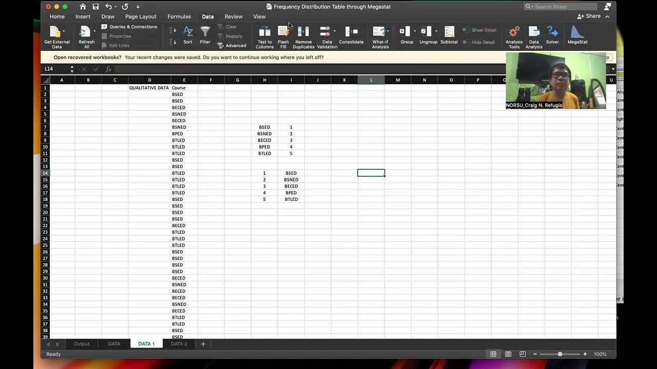 Frequency Distribution Table from Qualitative Data Using Megastat - YouTube