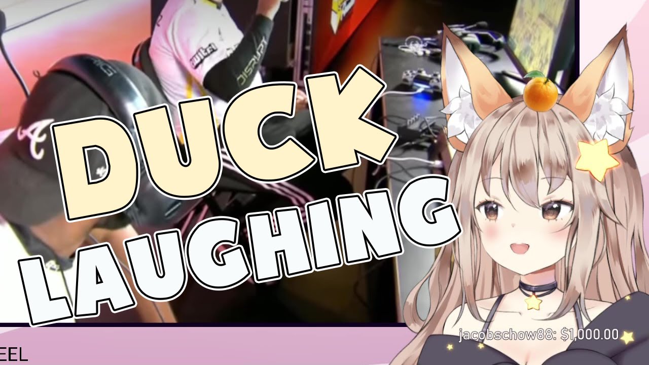 Fox Laughing at Duck Laughing Meme [ anny ] - YouTube