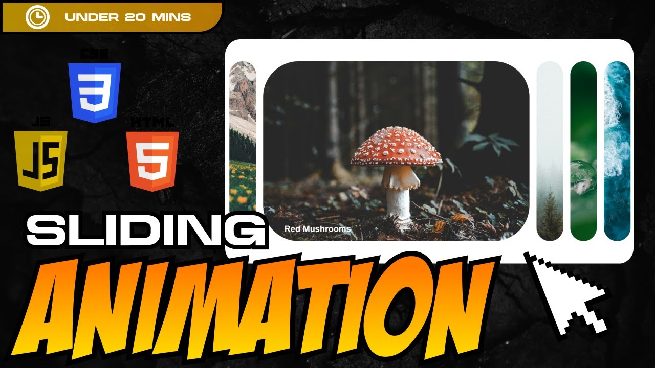 Responsive Slider Animation Tutorial Html Css And Javascript For 9853