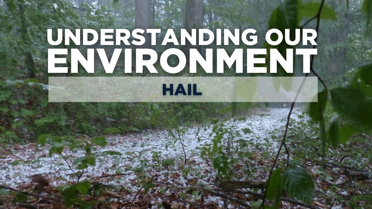 How does hail form and what causes its different sizes? - YouTube