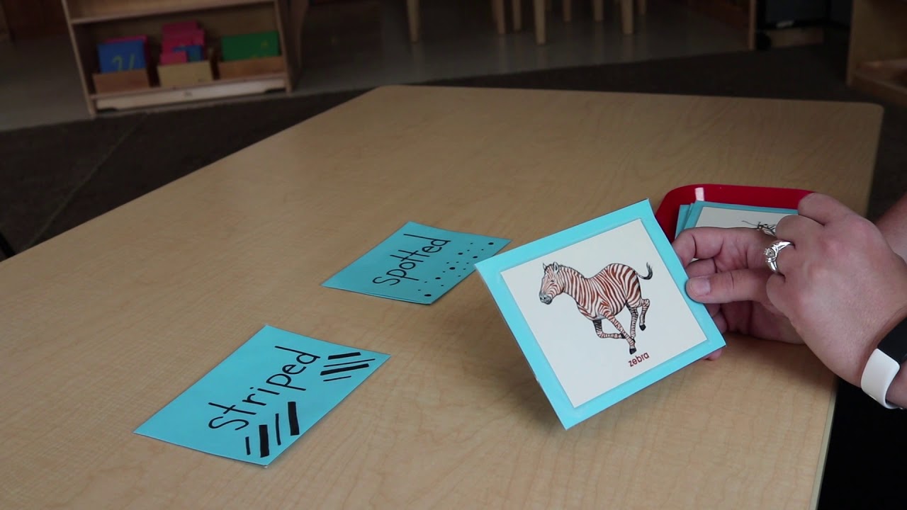 Primary Lesson: Spotted vs. Striped - YouTube