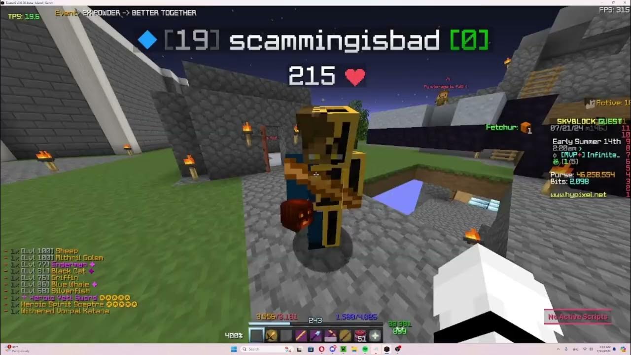 New Best Money Making Method 5b+ per hour Hypixel Skyblock - YouTube