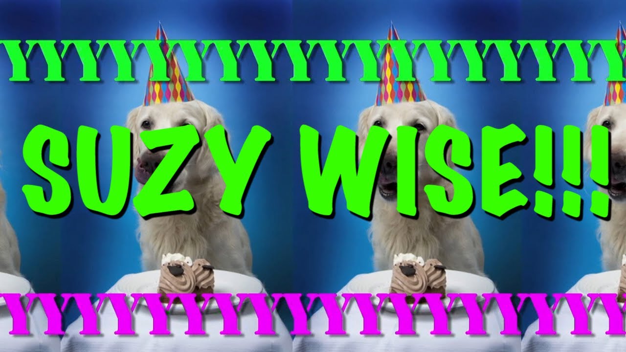 HAPPY BIRTHDAY SUZY WISE! - EPIC Happy Birthday Song - YouTube