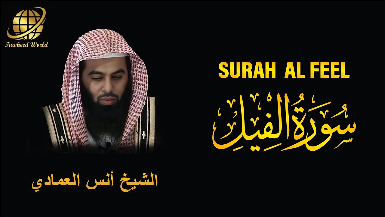 Surah AL fil Sheikh Anas Al Emadi سورة الف يل الشيخ أنس