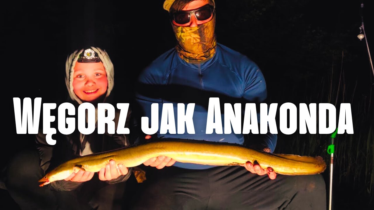 Pierwsza ryba Oskara . Węgorz jak anakonda . - YouTube