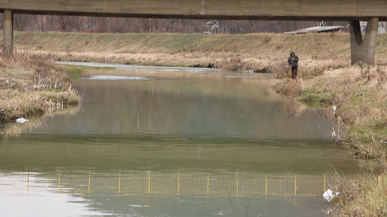 Reka Pek: Ekološka katastrofa na pomolu - YouTube