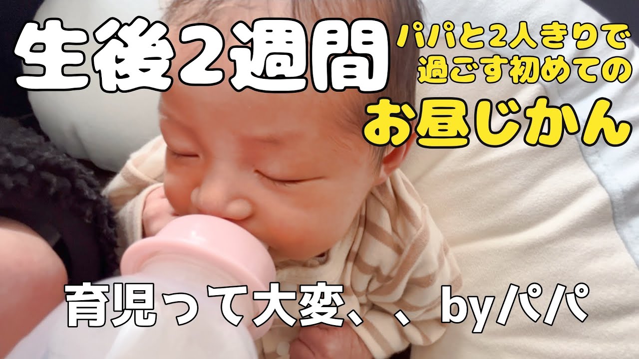 【新生児】いったいどうなる、、産まれて間もない天使パパと2人きりで過ごすおひる【生後2週間】 Youtube
