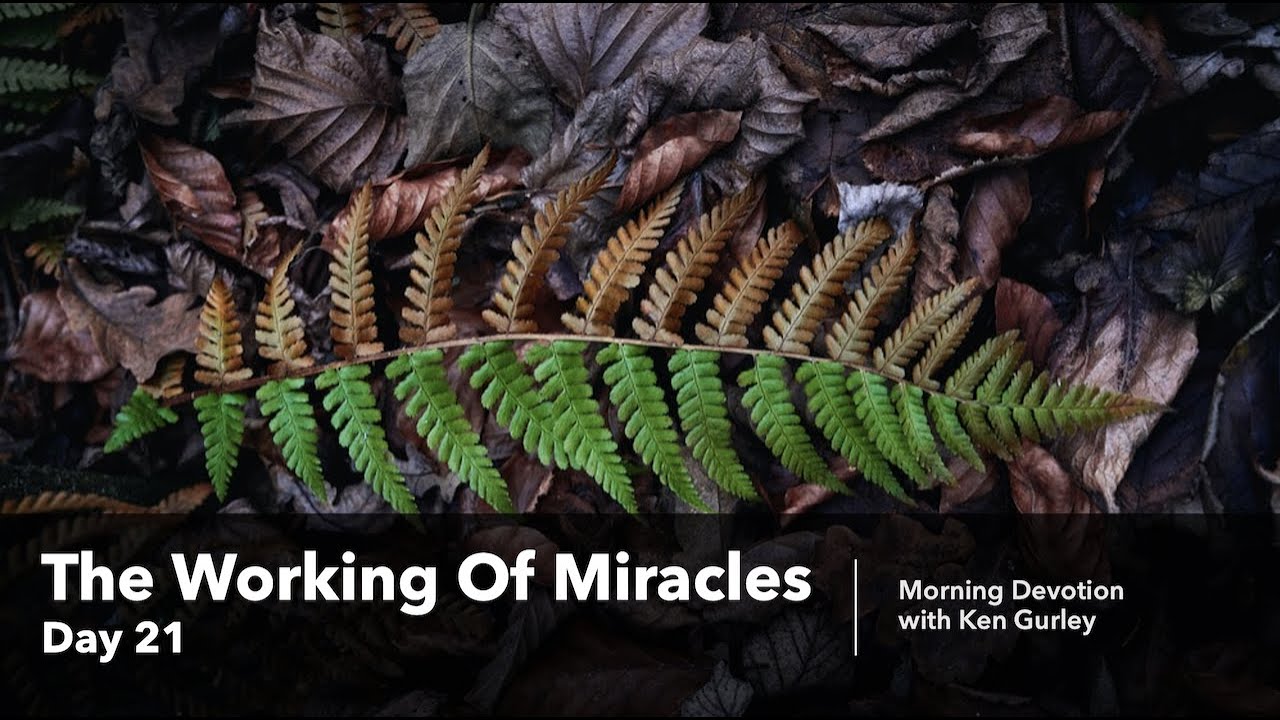 The Working Of Miracles (Day 21) - YouTube