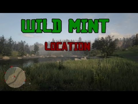 0/5 Wild mint picked - RDR2 Online - YouTube