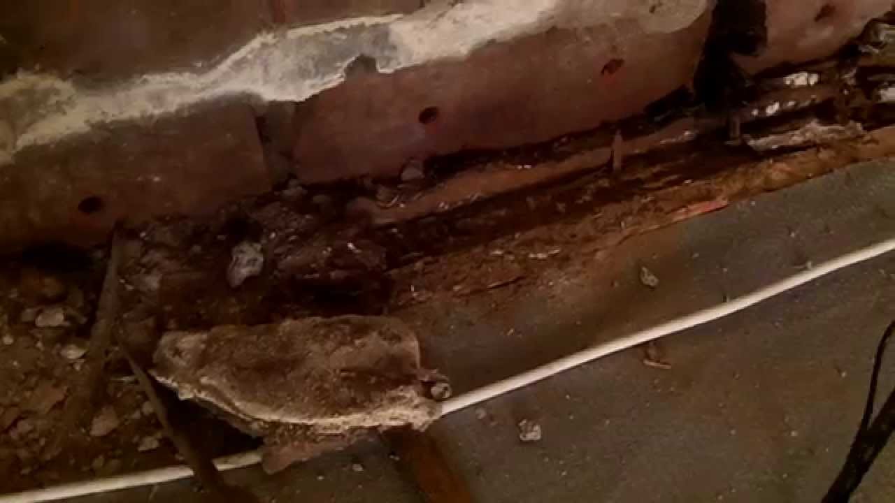 Electro osmotic damp course and injection damp proofing don't work ...