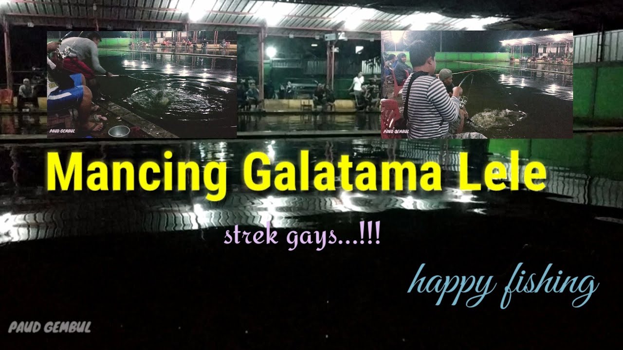 Mancing Galatama Lele, malam hari strek bertubi-tubi bikin adem - YouTube