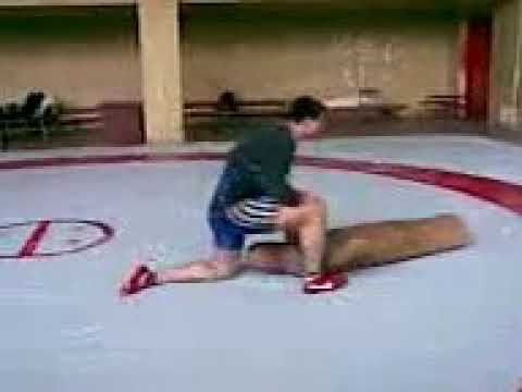 Elvin Pahlavan shabaran18