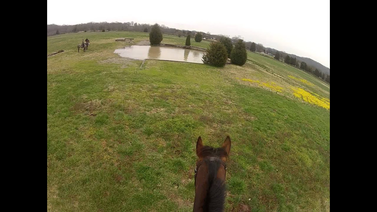 Buzz water at PWP - YouTube