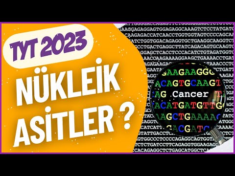 NÜKLEİK ASİTLER | Organik Bileşikler | Canlıların Temel Bileşenleri | TYT BİYOLOJİ 2023 | Bölüm: 9