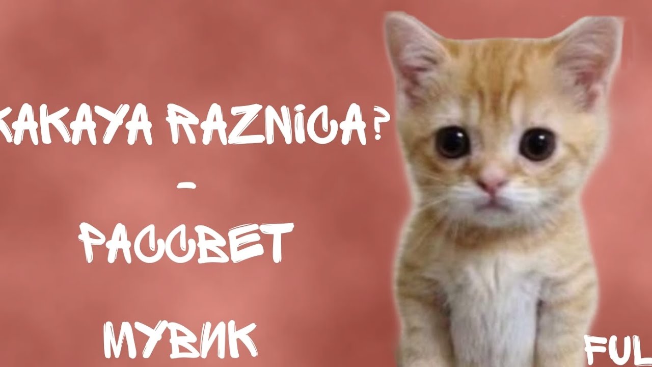 KAKAYA RAZNICA - РАССВЕТ МУВИК | НУ ОК👌 - YouTube