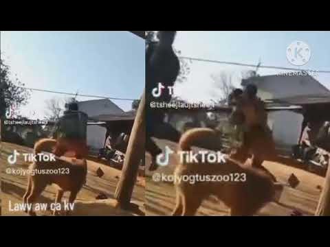 Xov xem ceev poj niam siab phem 18/2/2023 - YouTube