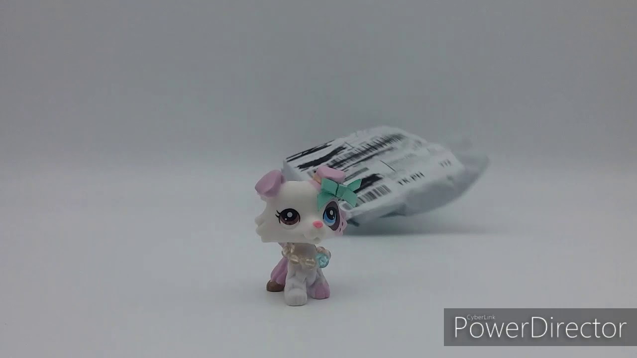 Lps Unboxing: LpsLoverqa prototype great dane! - YouTube