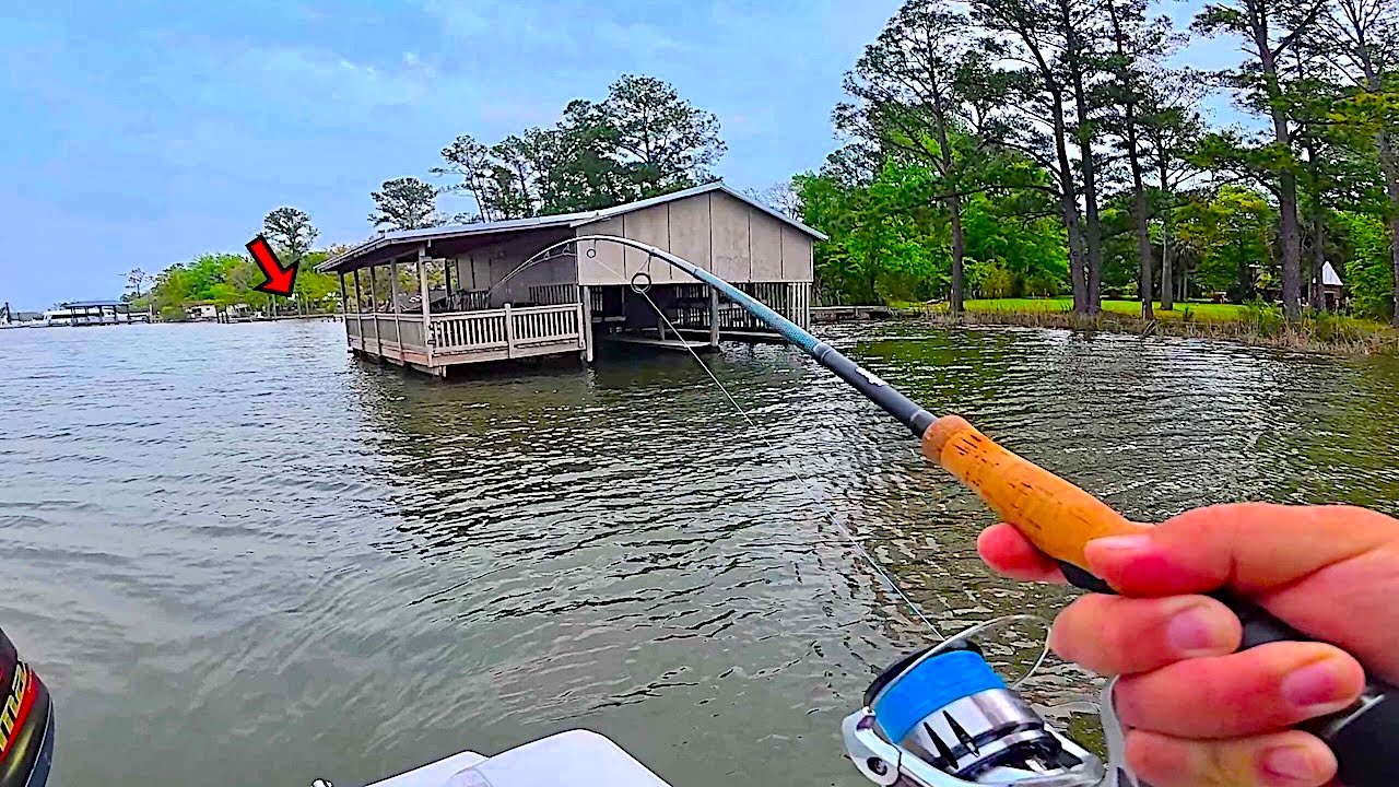 This is the BOAT DOCK Fish I Wanted! - YouTube