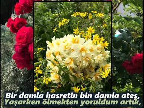 BİR DAMLA HASRETİN BİN DAMLA ATEŞ / Güfte & Mahire Dal CEYLAN / Beste & Süleyman GİRİŞİT 