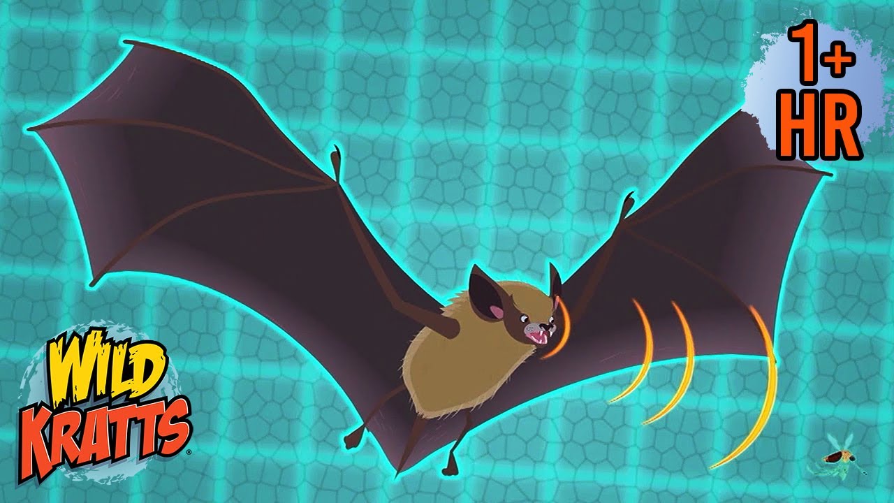 Fearless Bats! Bat Rescue Mission | Animal Cartoons for Kids | Wild ...