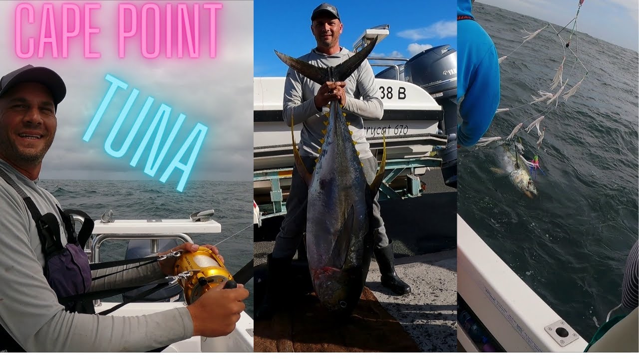 Cape point TUNA - YouTube