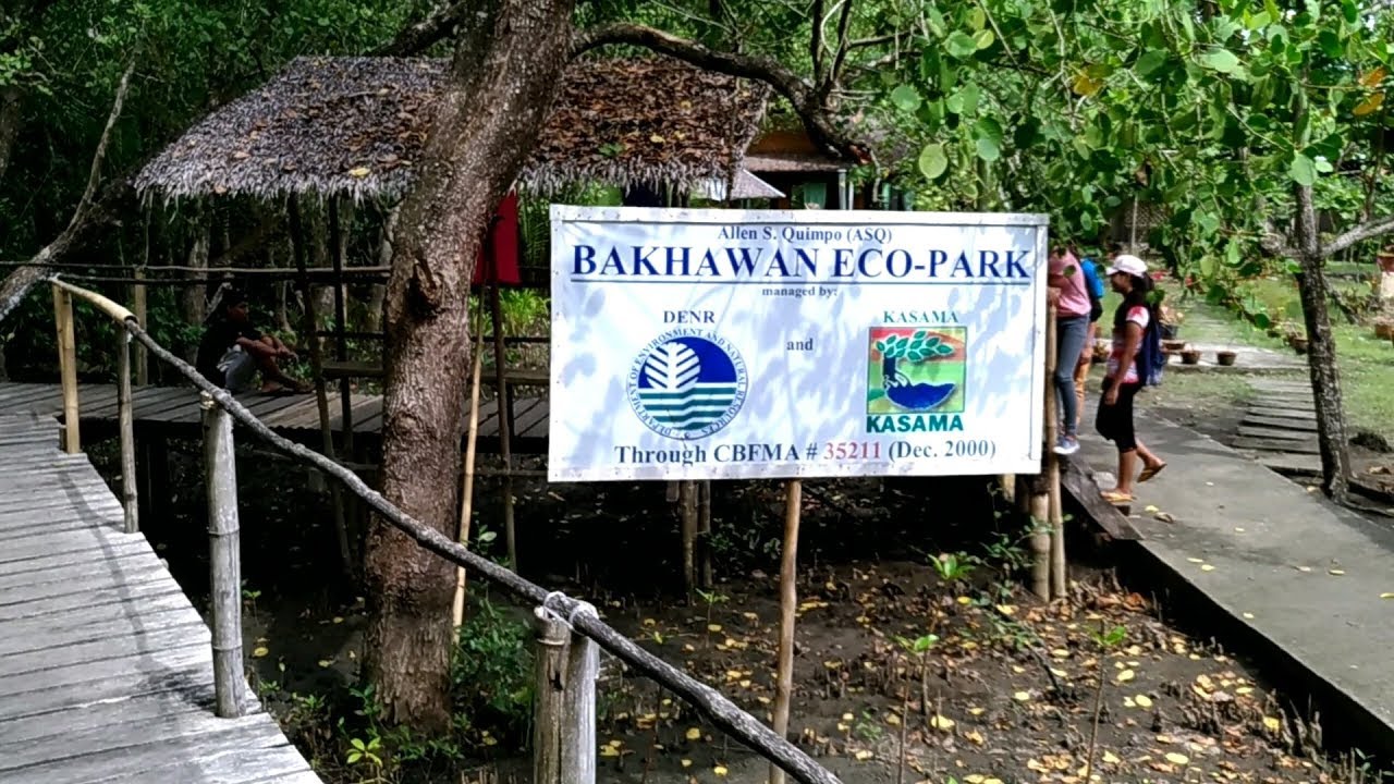 Exploring BAKHAWAN 1.1km Mangrove Eco Park in Kalibo, Aklan - YouTube