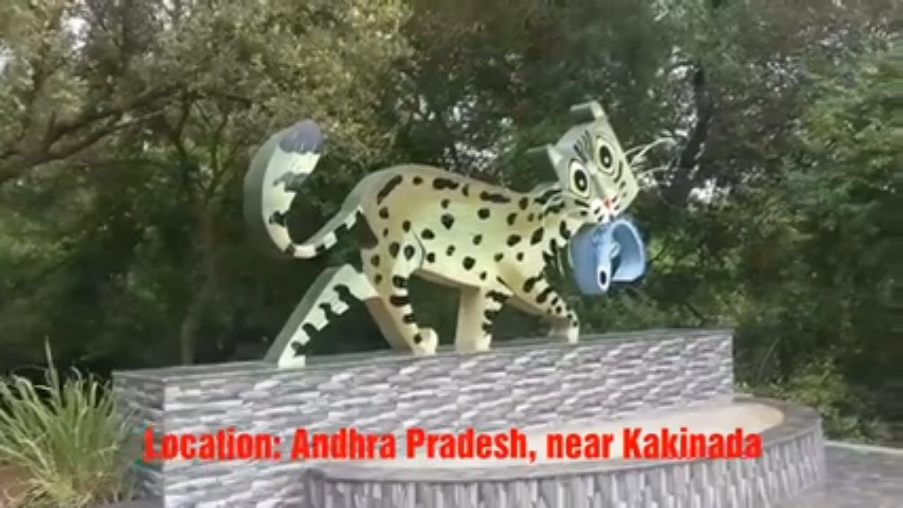 Korangi Mada Forest Kakinada Andhra pradesh || Coringa Natural ...