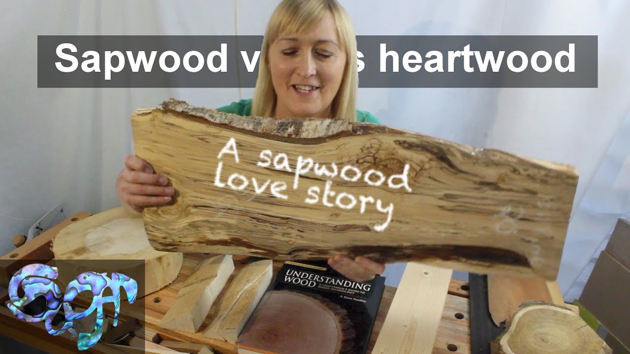Sapwood versus Heartwood: A sapwood love story - YouTube
