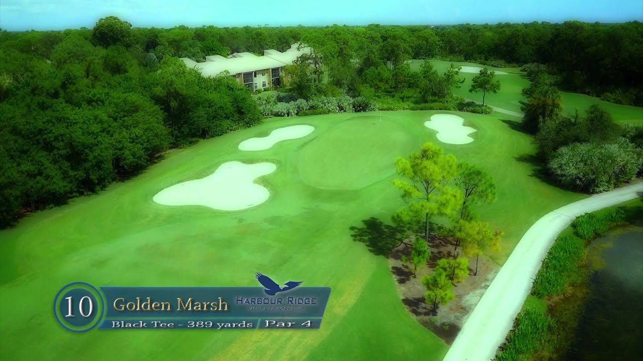 GOLDEN MARSH: Entire Aerial Flyover - YouTube